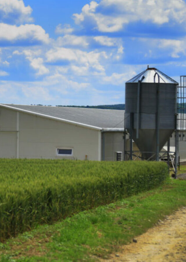 Épandage : la réglementation expliquée – Altéor Environnement