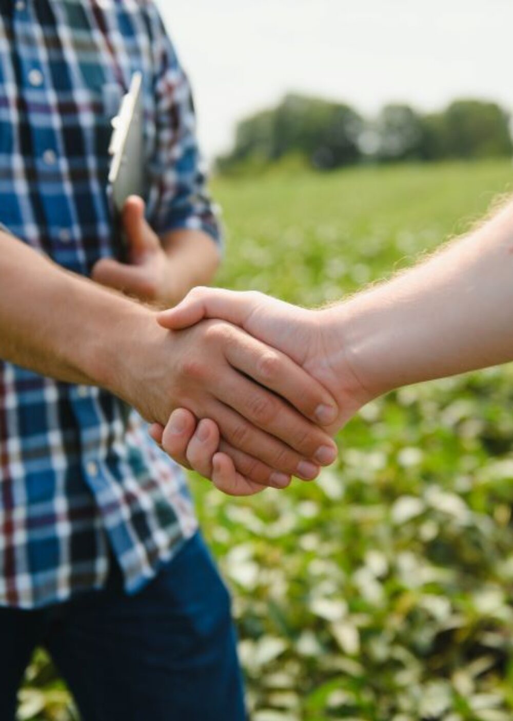 Altéor Ressources Humaines - Conseil en Ressources Humaines